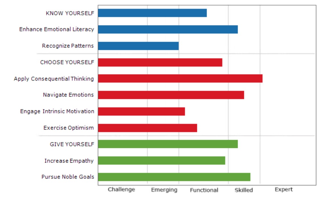 Emotional Intelligence Test - Development Report • Six Seconds