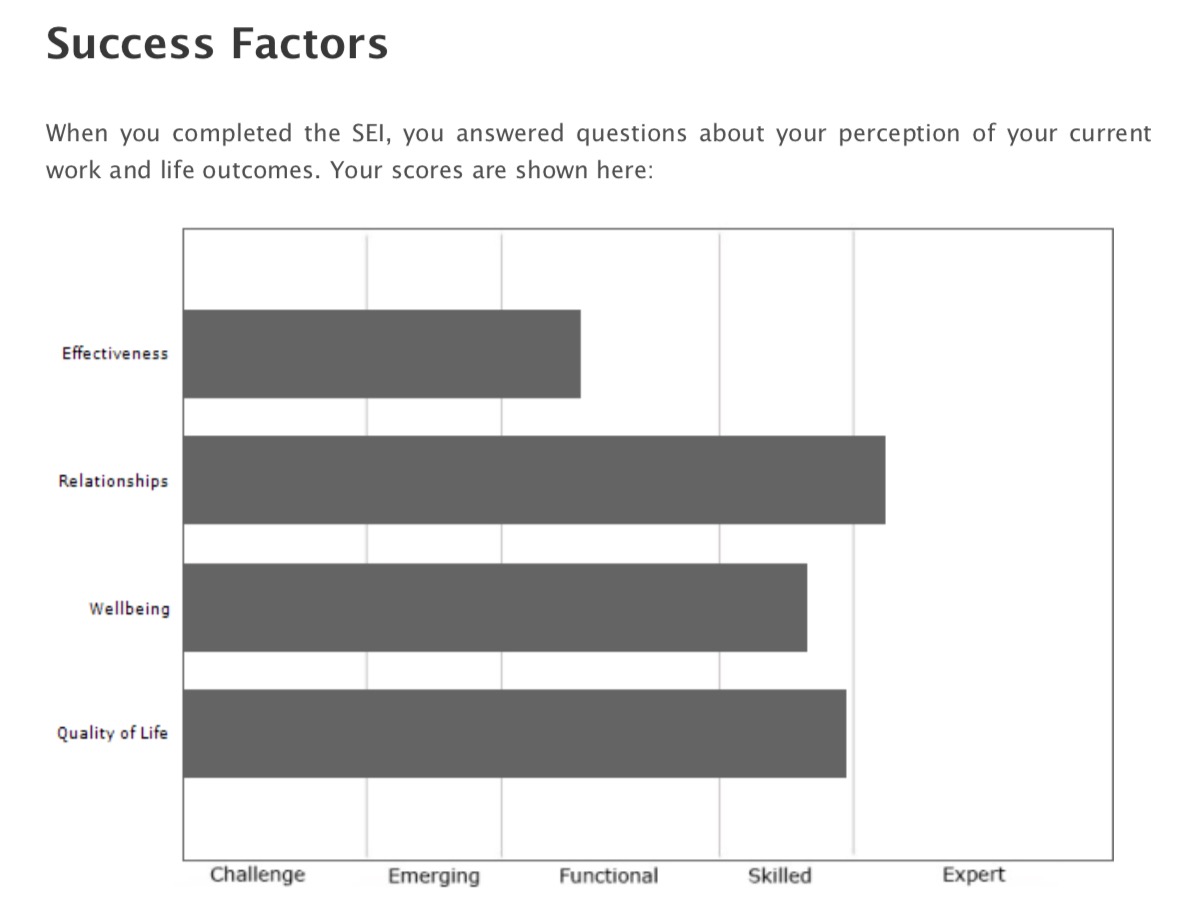 Emotional Intelligence Test - Development Report • Six Seconds